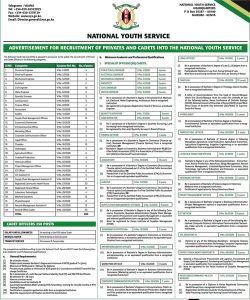 Apply NYS Jobs 2026 Announced 700+ Vacancies & Requirements - Samtash